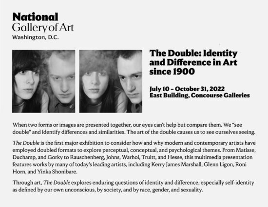 The Double: Identity and Difference in Art since 1900 | Barbara Probst